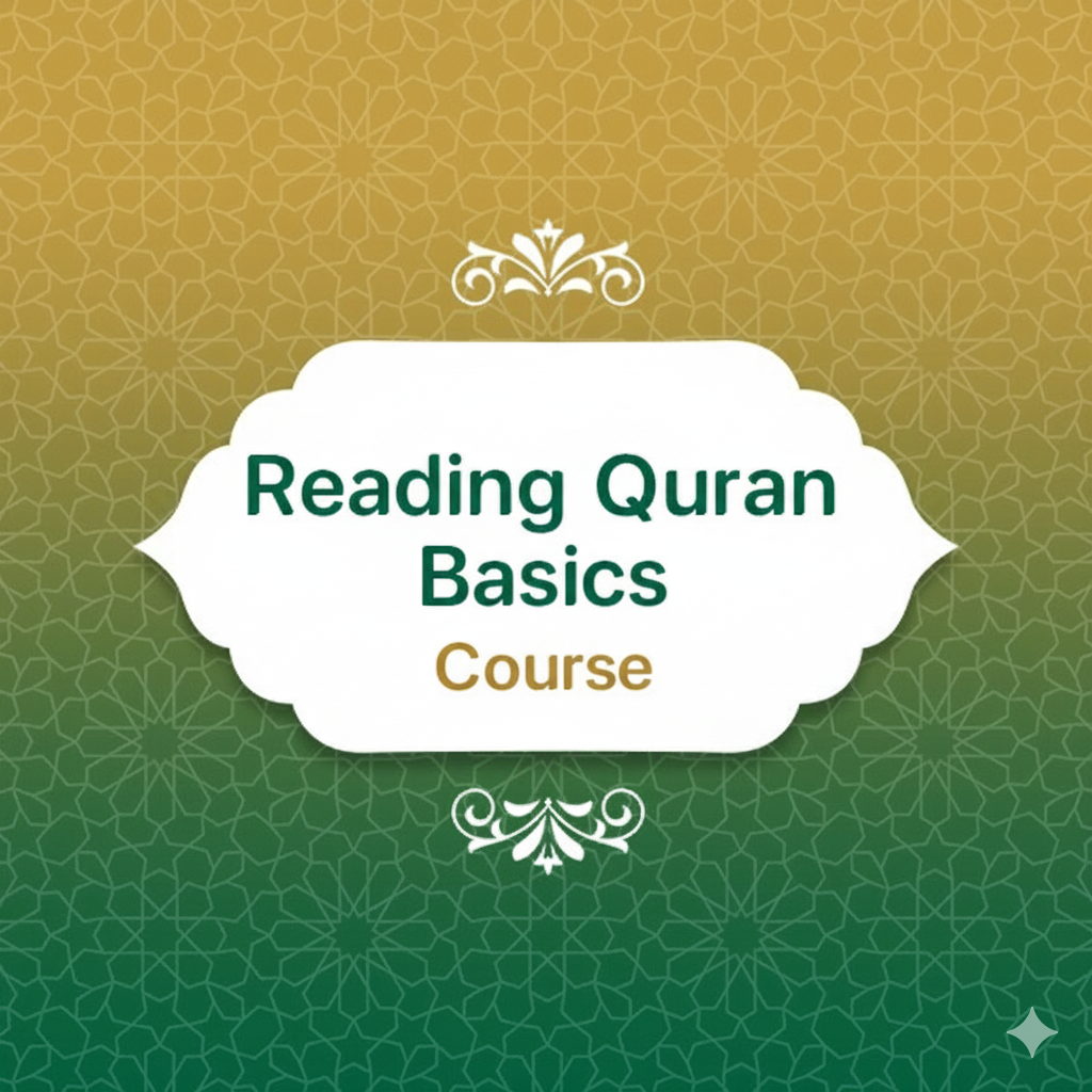 Disc Learn Quran and Arabic